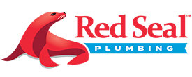 Drain Inspection Vancouver, BC | Red Seal Drainage & Plumbing